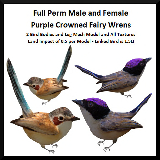 Second Life Marketplace - Full Perm Male and Female Purple Crowned Fairy Wrens